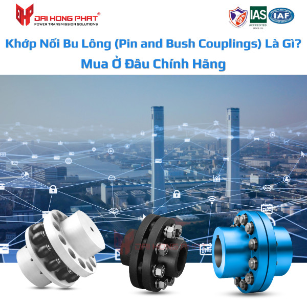 Khớp Nối Bu Lông (Pin and Bush Couplings) Là Gì? Mua Ở Đâu Chính Hãng - Dai Hong Phat Corp